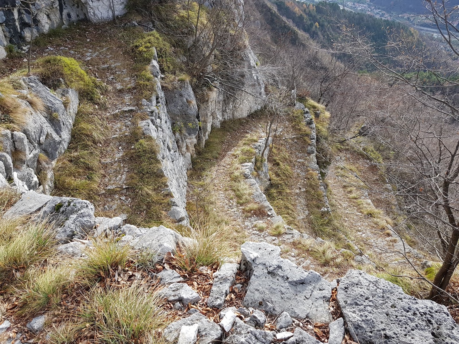 Su strade e sentieri: COL MOSCHIN (m. 1.279) - Massiccio del Grappa