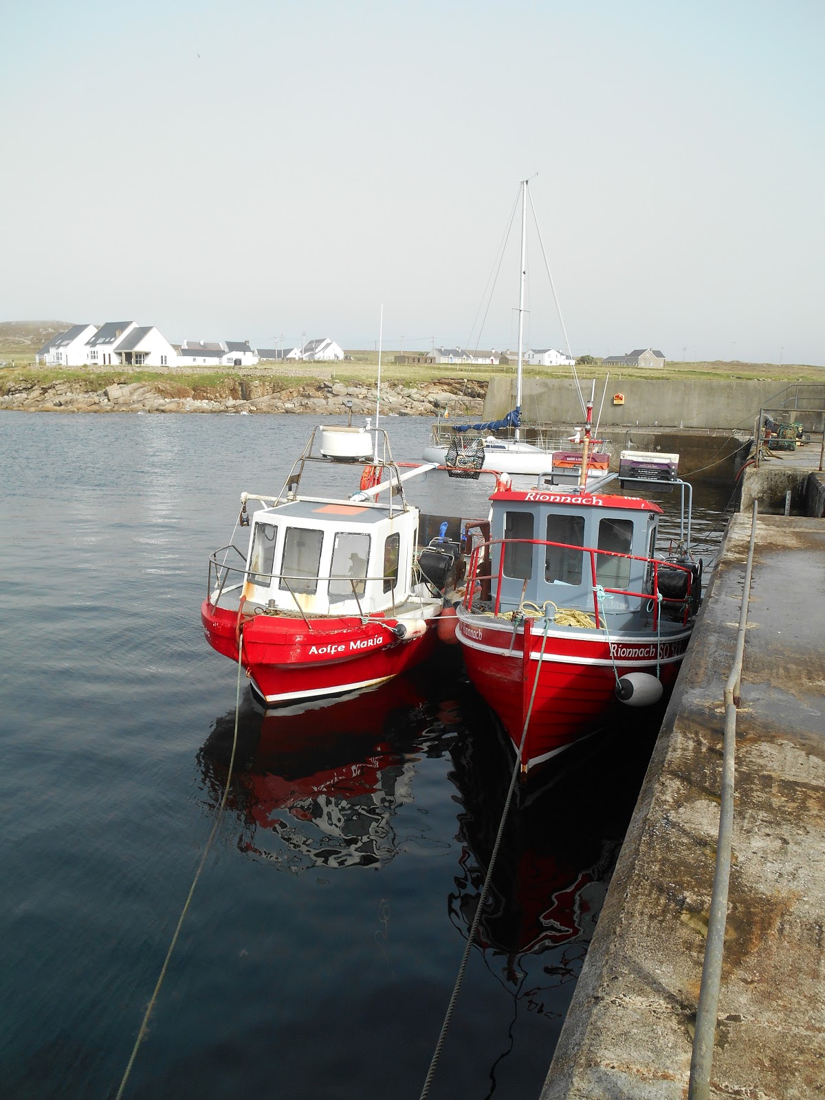 A lifetime of Islands: Island 394 - Tory Island/Toraigh, County Donegal ...