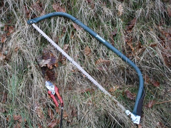 Growing Things and Making Things: Cutting down trees