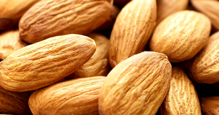 ALENTEJANO E TROPICANO: Amendoeiras