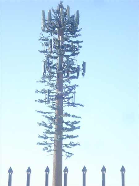 Hercolano2: Disguised Cell Towers