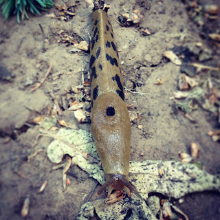 OmMama and KraftyKatina