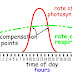 Compensation Point in Photosynthesis - Science Solve