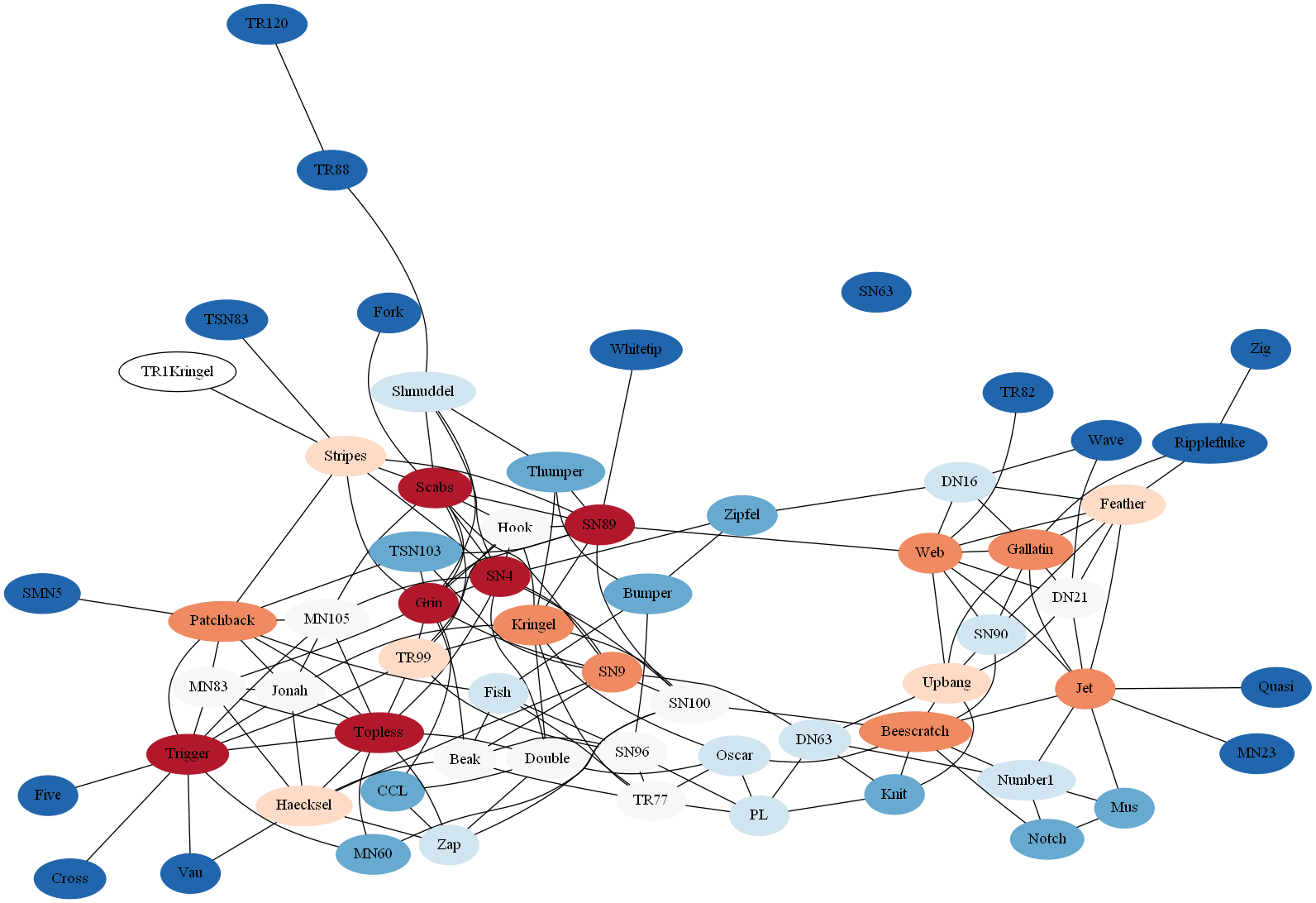 Bi Future Blog Data Visualization Network Analysis With Graphviz And