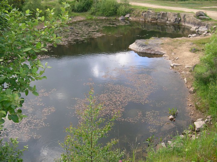 Pat Papertown 2: Birtle, near Paper Town (Bury)