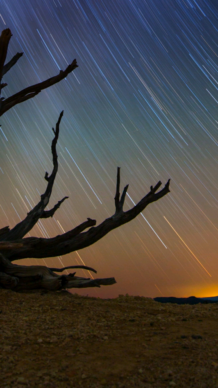 29 Most Beautiful Bing Wallpapers For Android Phones - Tech Viola