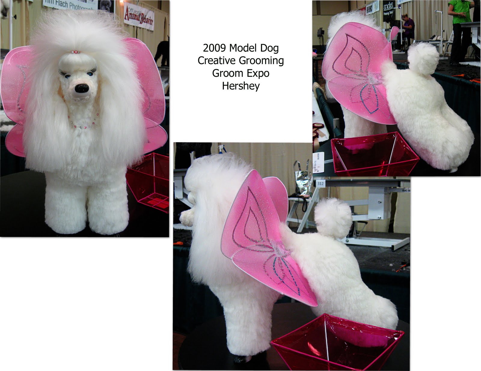 Pet Grooming: The Good, The Bad, & The Furry: Model Dog Grooming