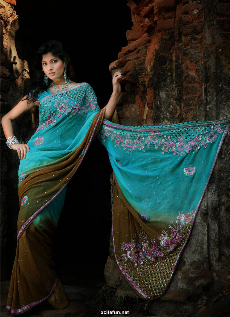 Fashion Girl: Bollywood Creative Sarees Collection 2011