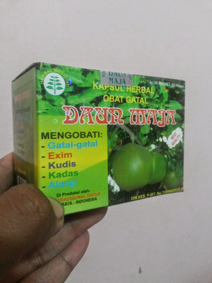 Apa Itu Daun Maja ? ~ Toko Obat Herbal Online