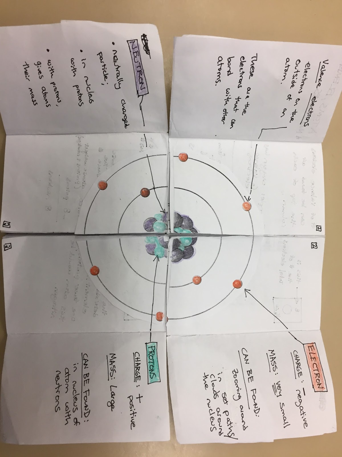 Biological Molecules Foldable at Trent Lopez blog