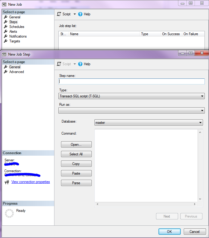 Troubleshooting MS SQL Server: Executing SSIS packages from SQL Server ... Troubleshooting MS SQL Server: Executing SSIS packages from SQL Server ...