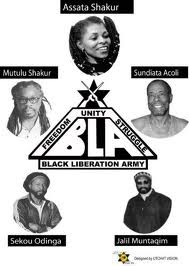 Feed Tha people Tumaini: The History of the Black Liberation Army (BLA)