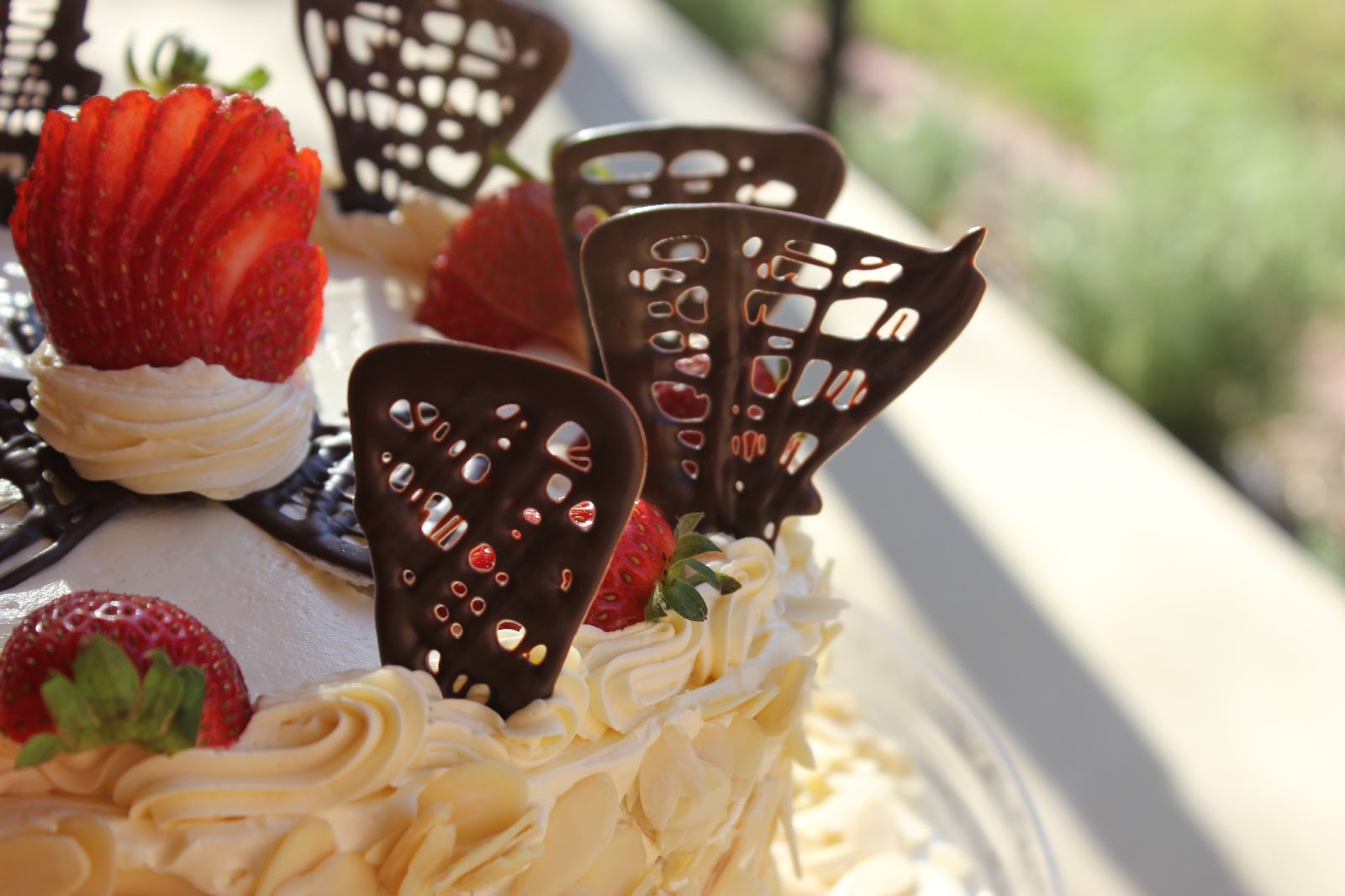 Sprinkles & Spatulas: Italian Layered Continental Cake