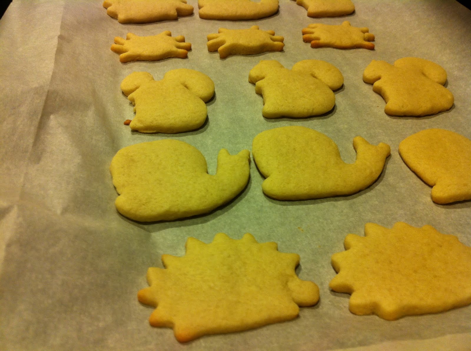 Kitchen and Craft Adventures: Sugar Cookies that Keep their Shape--and ...