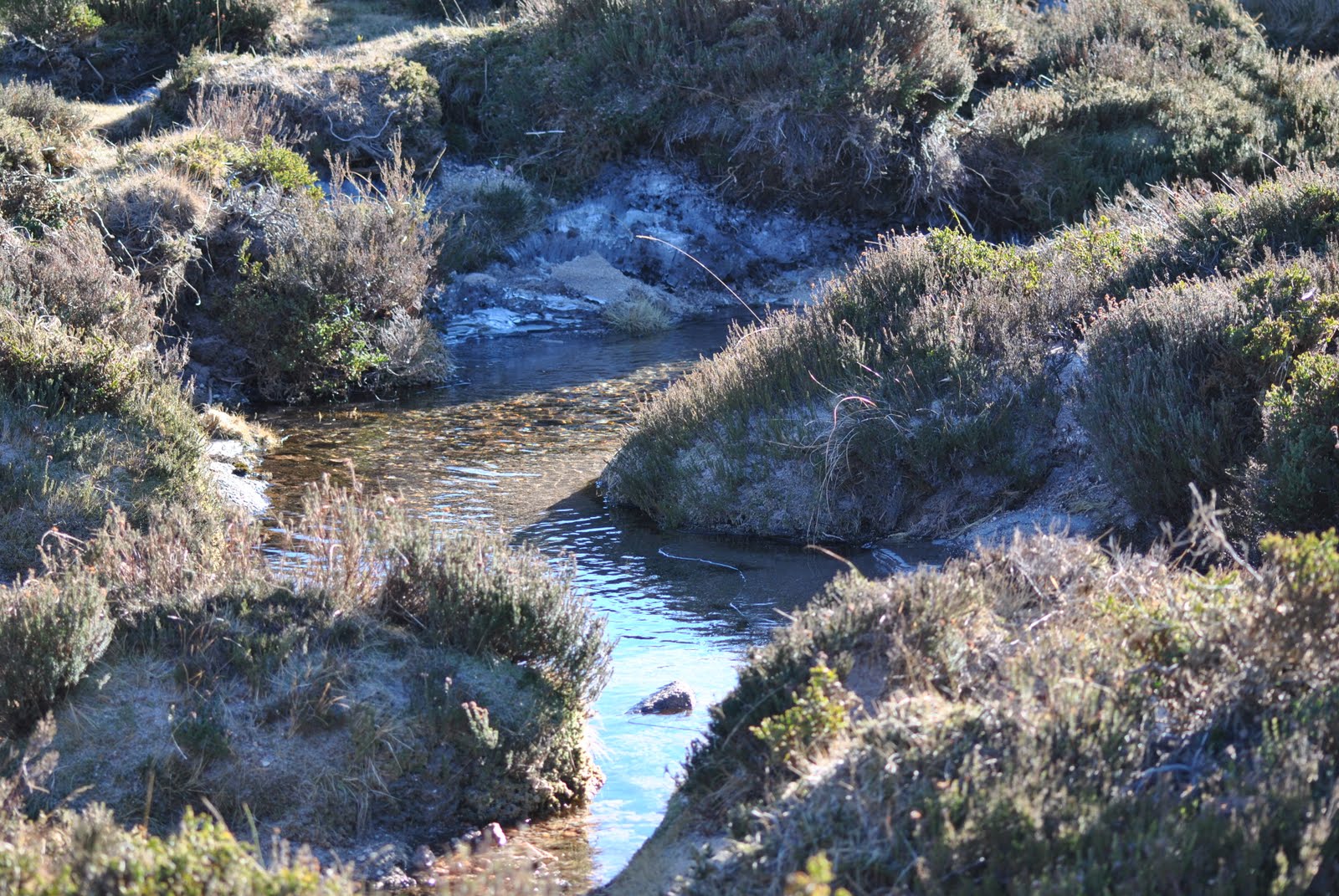 TRUTAS E SERRAS: Nascente do Rio Homem