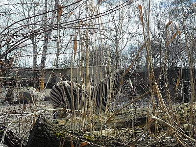 Doreens kreative Welt: Ausflug Tierpark Delitzsch