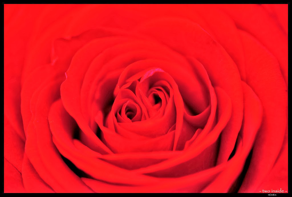 School Of Digital Photography: Using Patterns in Photography Composition