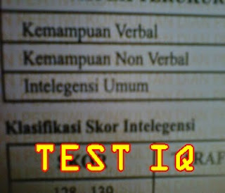 Tingkatan Skor Test iq Anak ( Intelligence quotient ) Dan Jenis kids iq ...