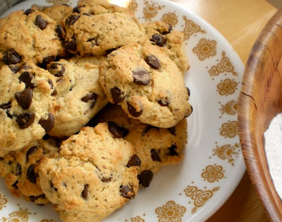 Carrie S. Forbes - Gingerlemongirl.com: Gluten Free Master Baking Mix ...