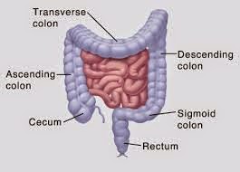 Medical Treatment Pictures-for Better Understanding: Colostomy Surgery ...