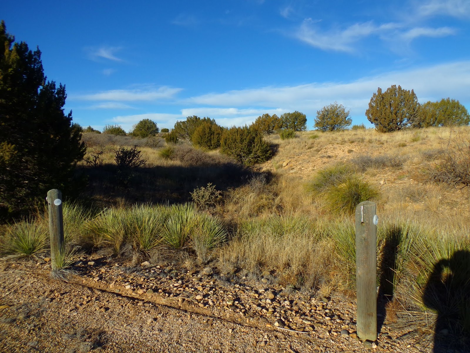 Sumner Lake State Park, Fort Sumner, New Mexico