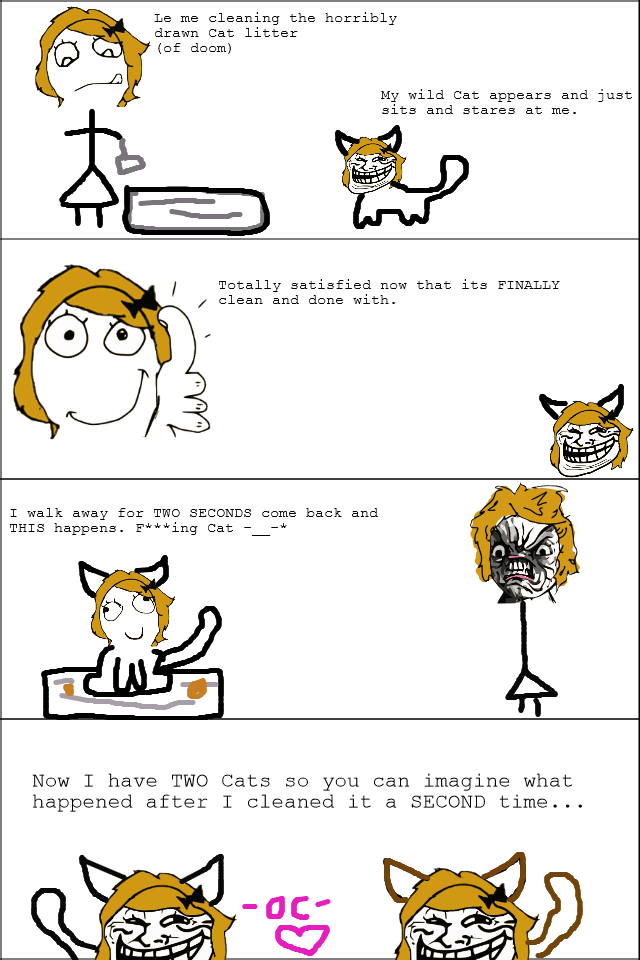 Funny Pics, Funny Indian Pics, Fools Pics..: Troll Cat - Lolz