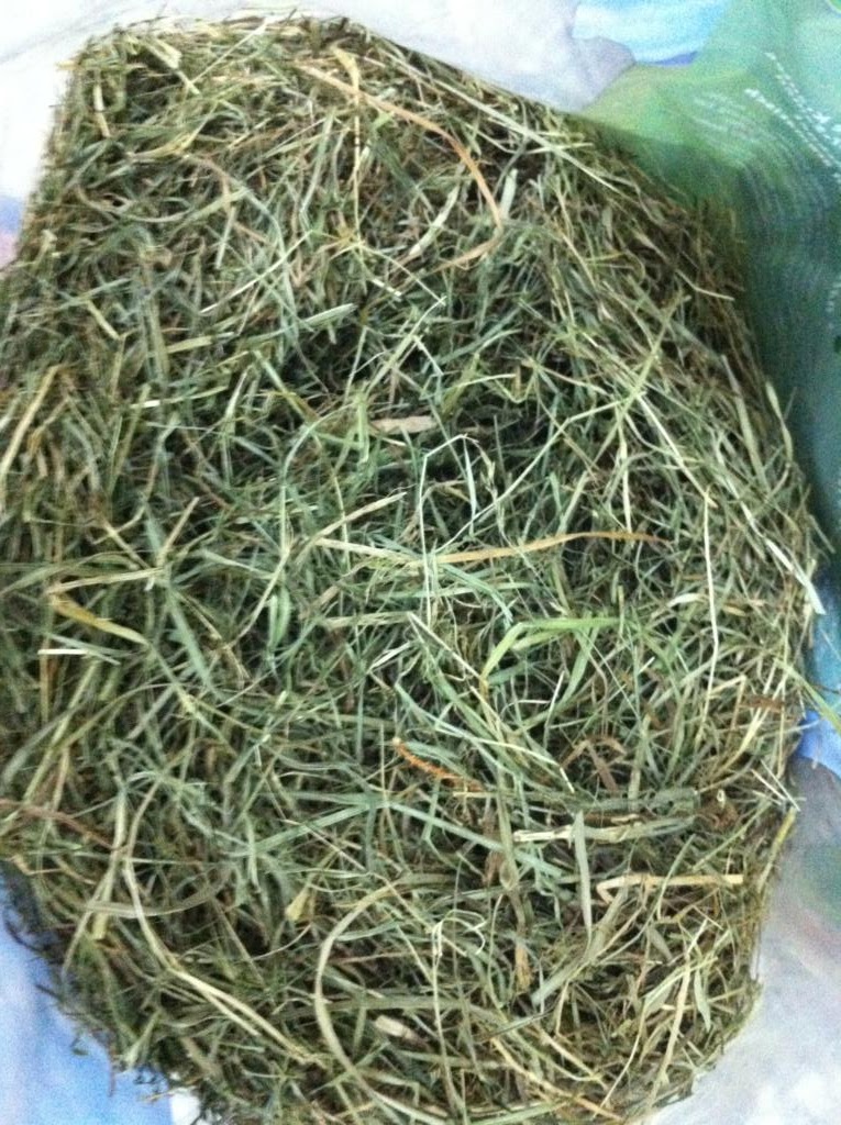 cobais del Rentonar: El heno y la alfalfa.