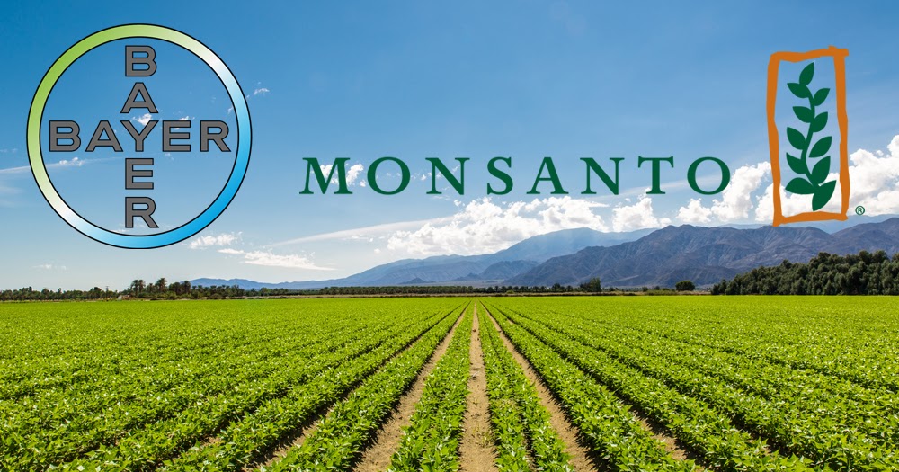 Glifosato e tumori: Monsanto condannata a pagare 300 milioni di dollari ...