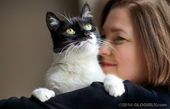 GLOGIRLY: Katie, Katie, Katie