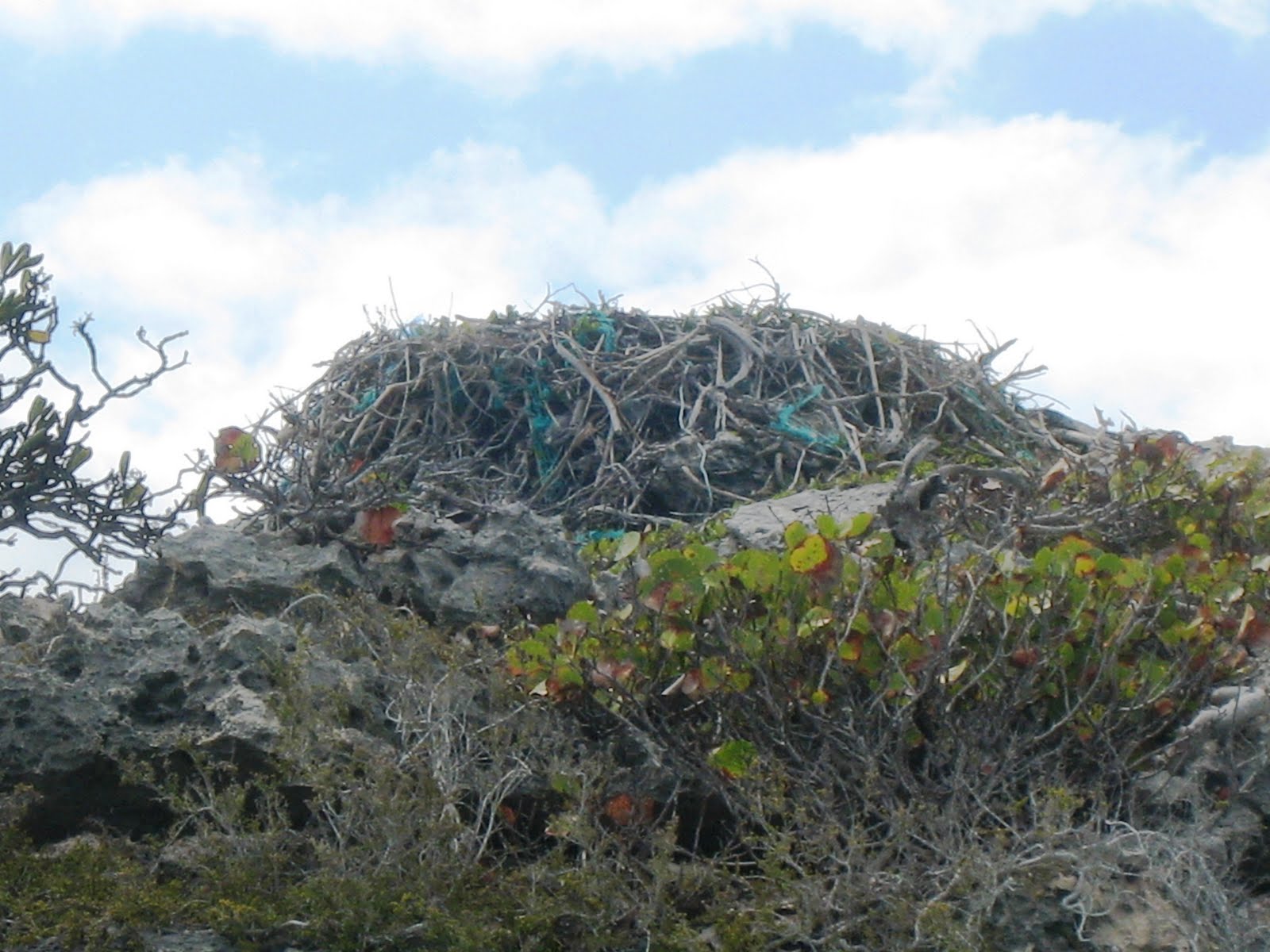 "Kaos" Caribbean Kapers: The Jumentos, Bahamas - May 2011