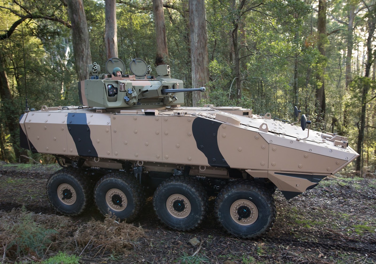 SNAFU!: The evolution of the Terrex 2 Amphibious Combat Vehicle.
