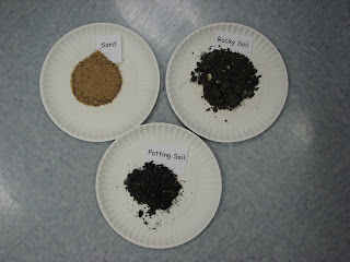 First Grade Randomness: Rocks and Soil Exploration