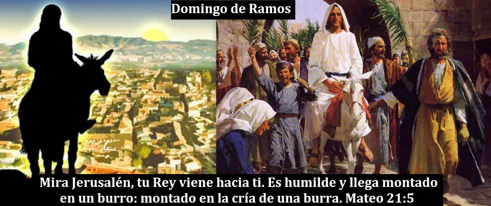 Siguiendo A Jesús: Domingo de Ramos