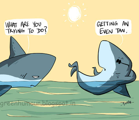 Green Humour: Shark Countershading