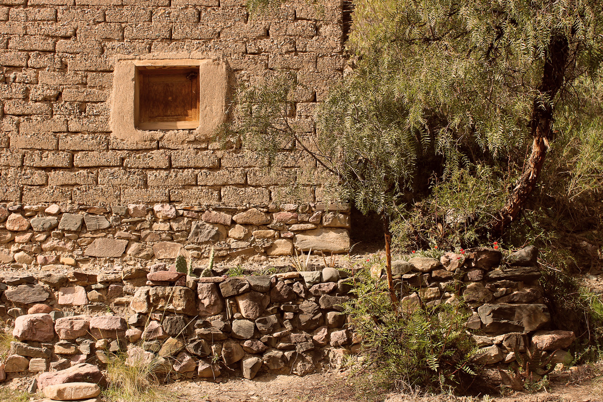 XhARA: CASA DEL ÁLAMO SECO