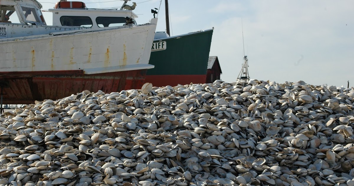 Hidden New Jersey: Only slightly clammy: the towns of Bivalve and Shellpile