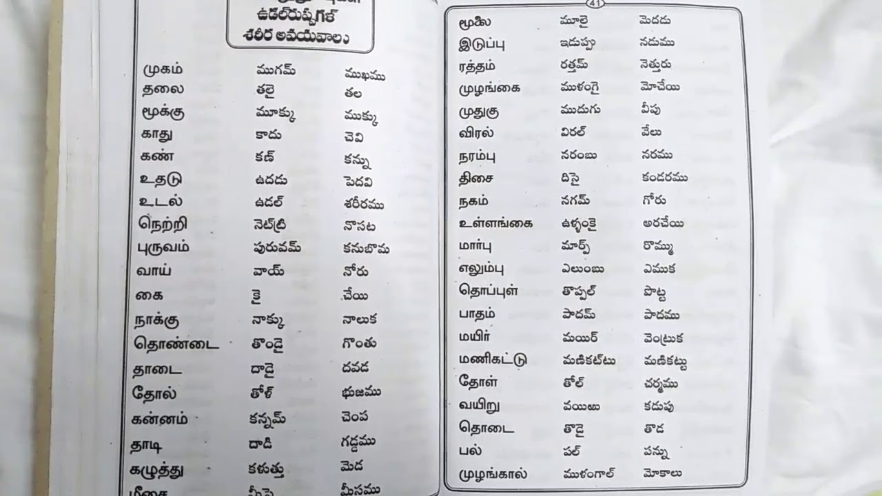 Learn Tamil Through Telugu Scribd India learn-tamil-through-telugu-scribd-india