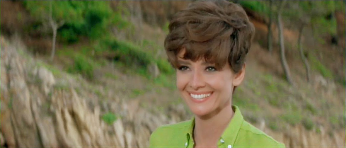 DREAMS ARE WHAT LE CINEMA IS FOR...: TWO FOR THE ROAD 1967