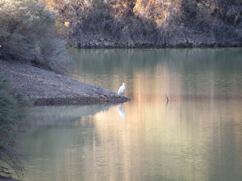 Itchyhitch What's New: Mittry Lake Wildlife Area