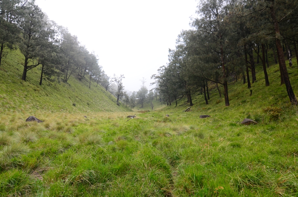 Mistisnya Bulak Peperangan Gunung Lawu - PARA SHERPA