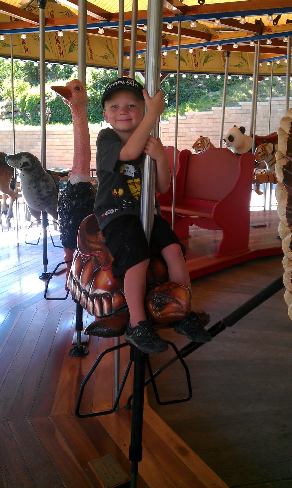 The Portlock Family: Hogle Zoo Carousel