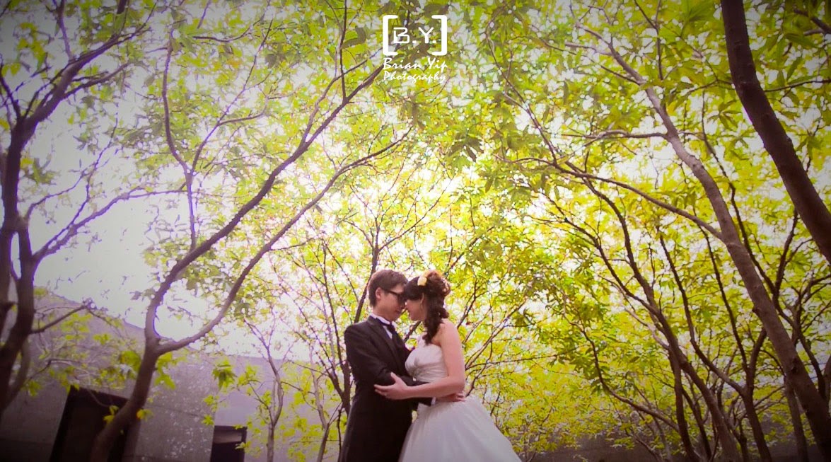 Brian Yip Photography