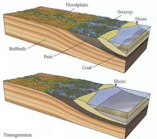 Klasifikasi Laut Berdasarkan Kejadiannya - Geograpik