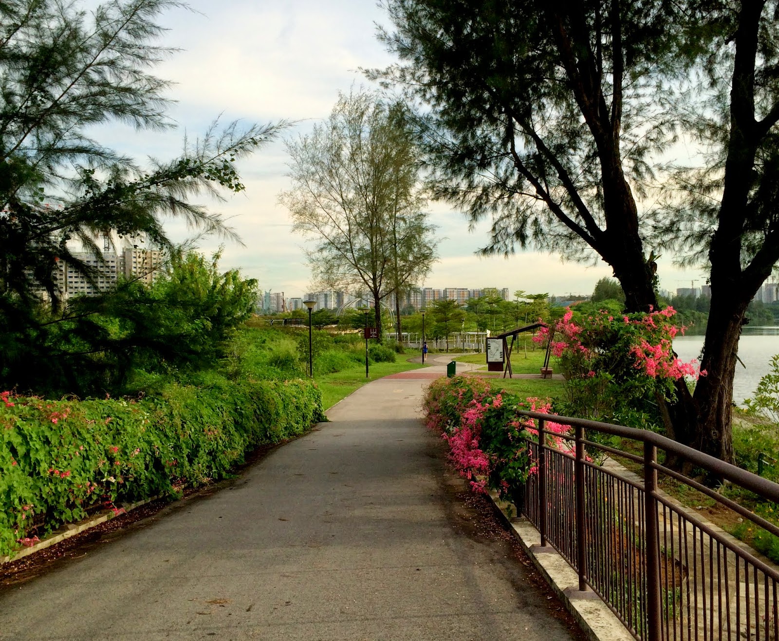 Capture life as I see it: Parks, PCN Singapore