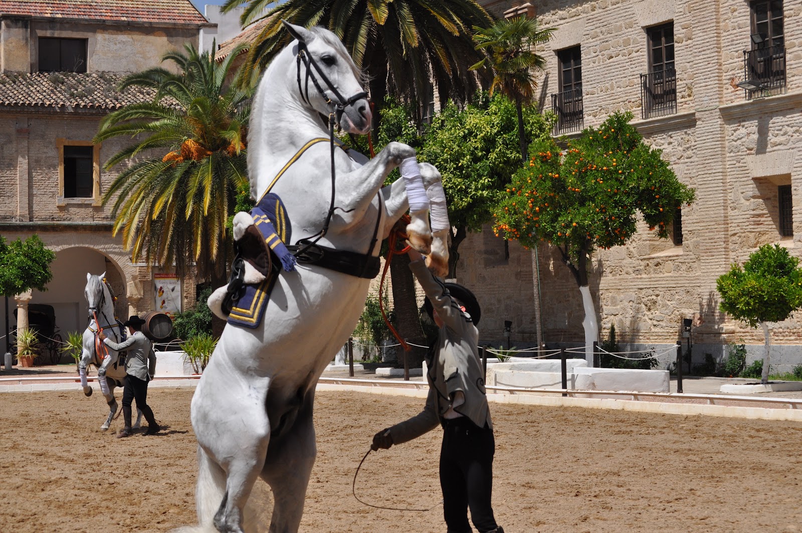Caballerizas Reales y el origen del Caballo Andaluz