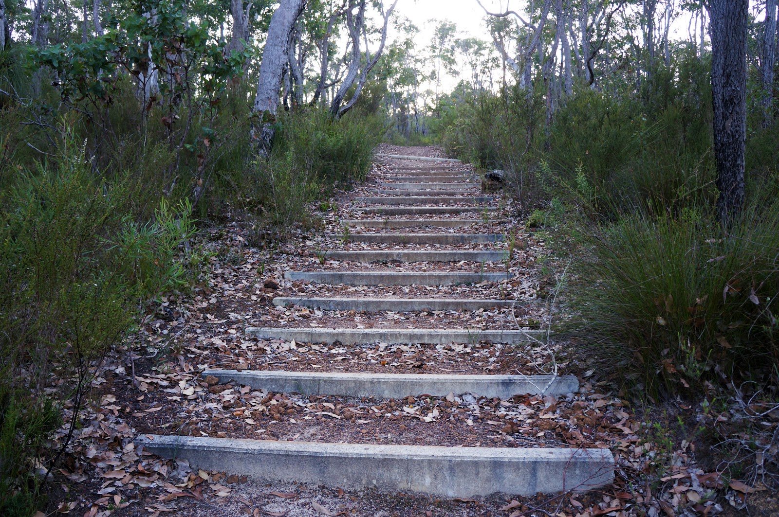 Mt Lindesay Walk Trail (Mt Lindesay National Park) ~ The Long Way's Better