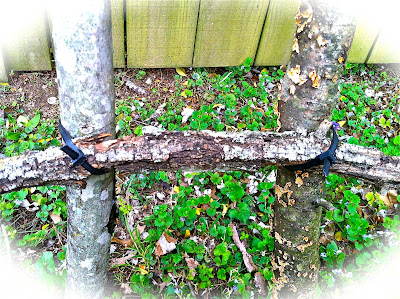 everyday donna: Make A Rustic Trellis From Fallen Tree Limbs