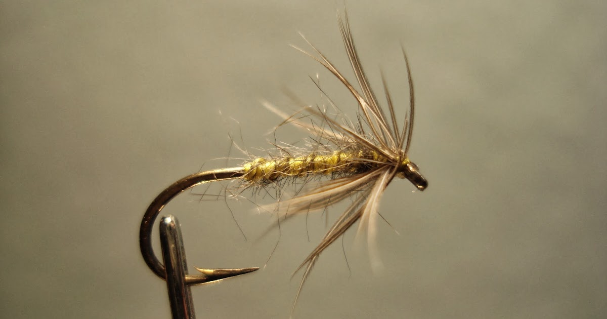 SOFT HACKLES, TIGHT LINES: Waterhen Bloa