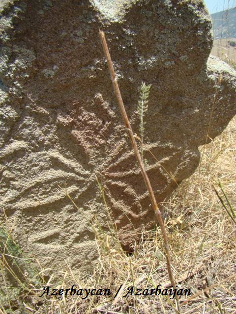 TARİH VE ARKEOLOJİ: KUMAN-KIPÇAK / CUMAN-KIPCHAK