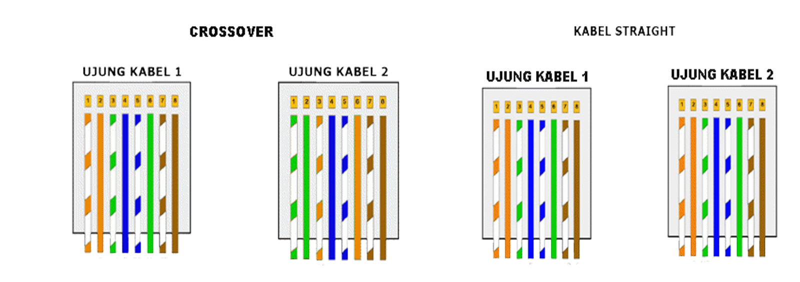 Kenali Kabel Crossover dan Straight | EduDong